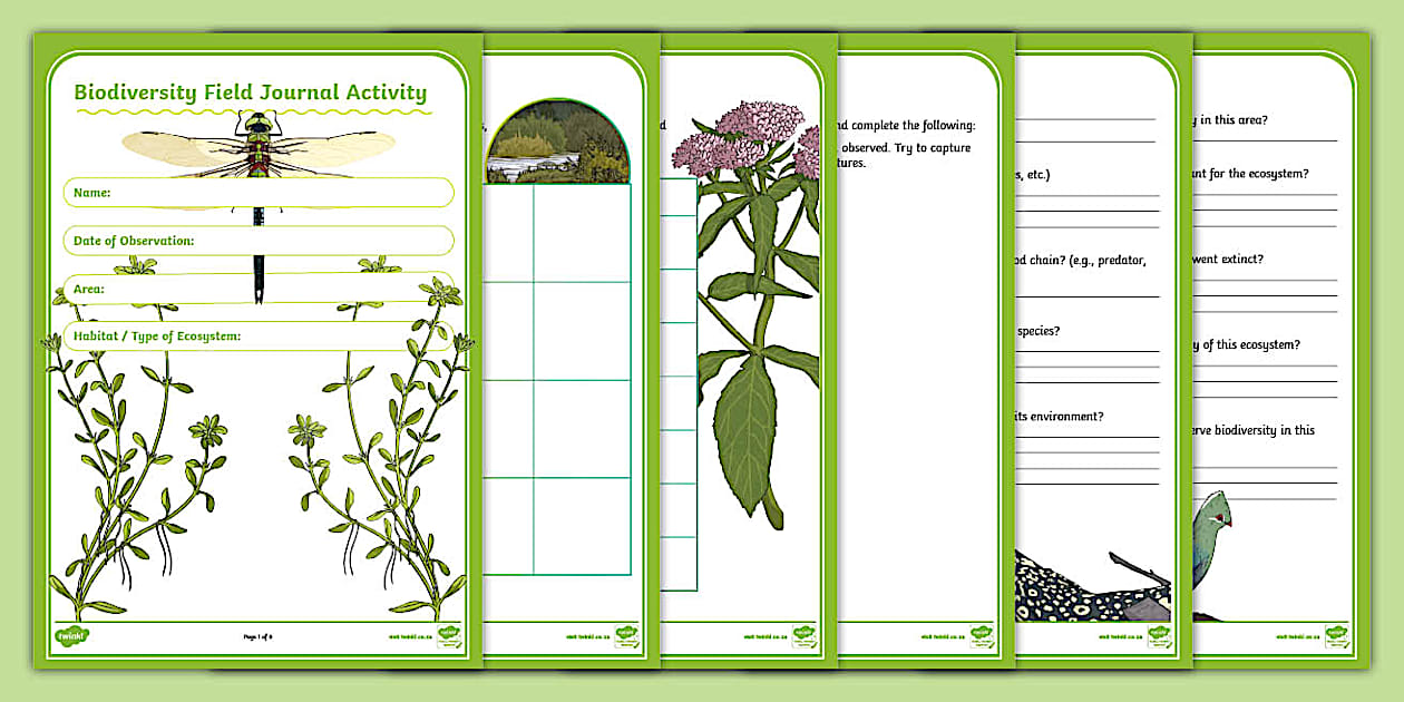 Biodiversity Field Journal Activity (teacher made) - Twinkl