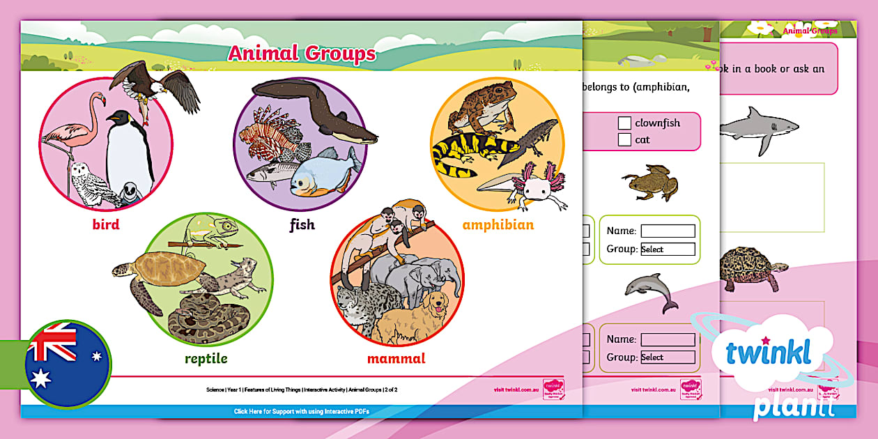 Year 1 Science Features Living Things Interactive Activity 2