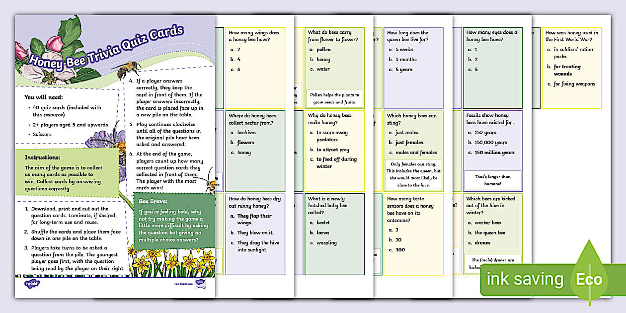 Honey Bee Trivia Quiz Cards| World Bee Day| Twinkl Resources