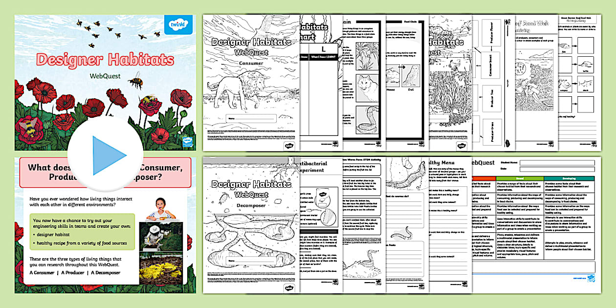 Designer Habitats STEM WebQuest (teacher made) - Twinkl