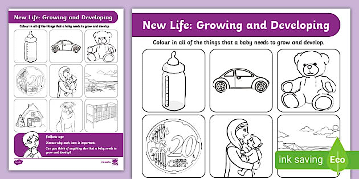 New Life and Birth Worksheet (teacher made) - Twinkl