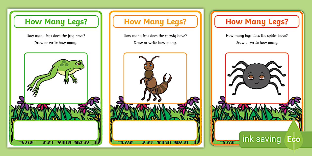 How Many Legs? Activity | Twinkl (teacher made) - Twinkl