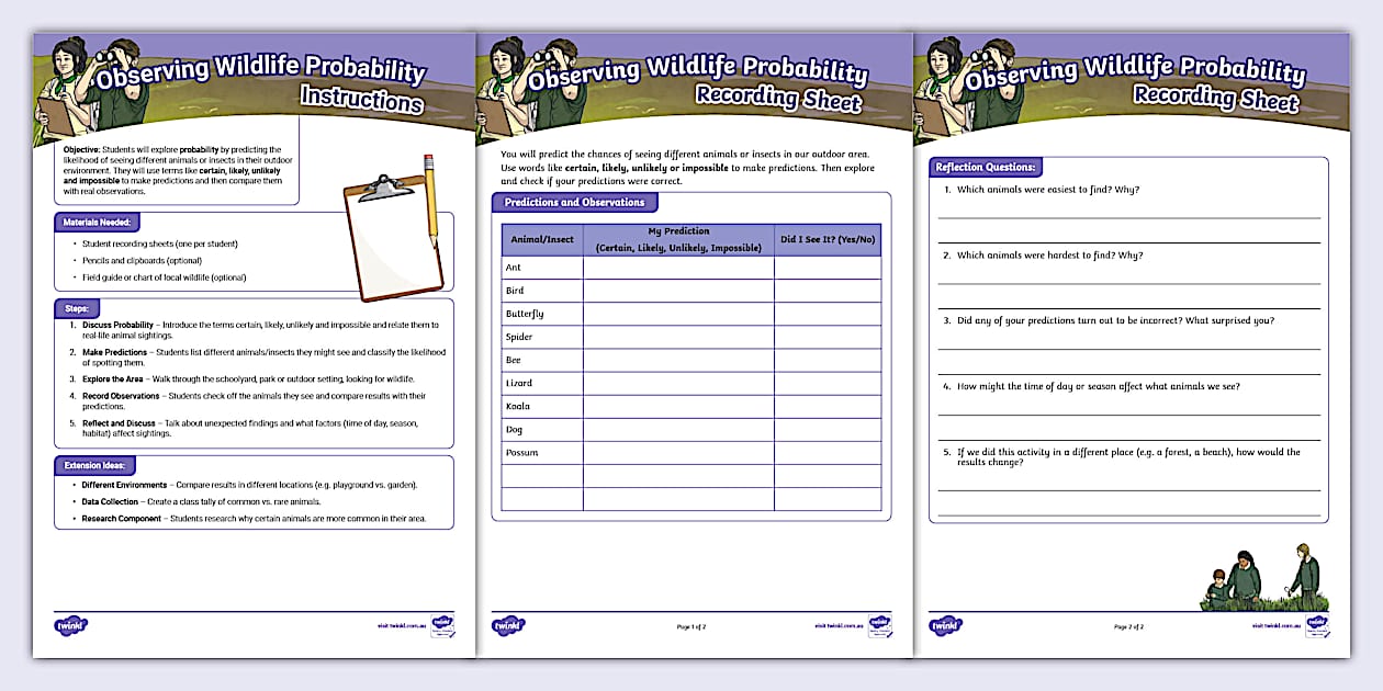 Outdoor Maths: Observing Wildlife Probability - Twinkl