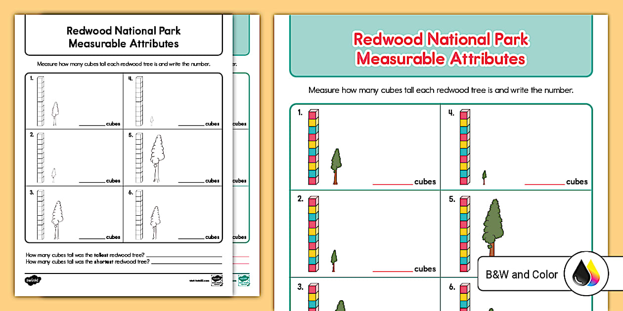 Redwood National Park Worksheet for Kids | Twinkl USA