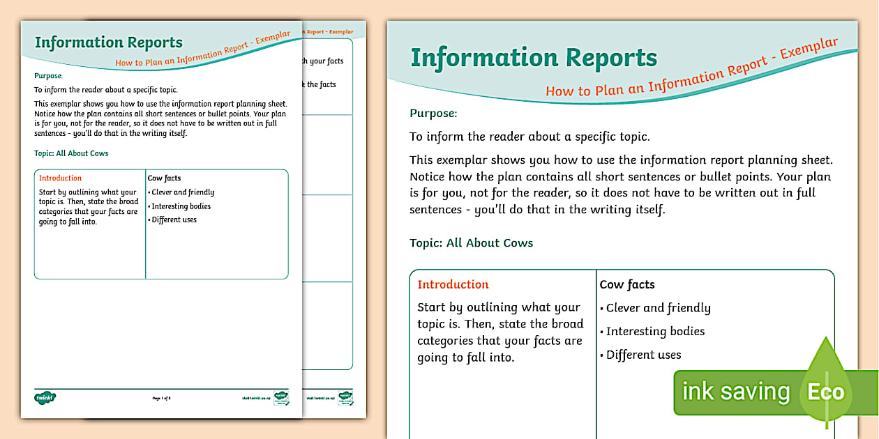 Level 2 Writing - Information Report Planning Sheet Exemplar