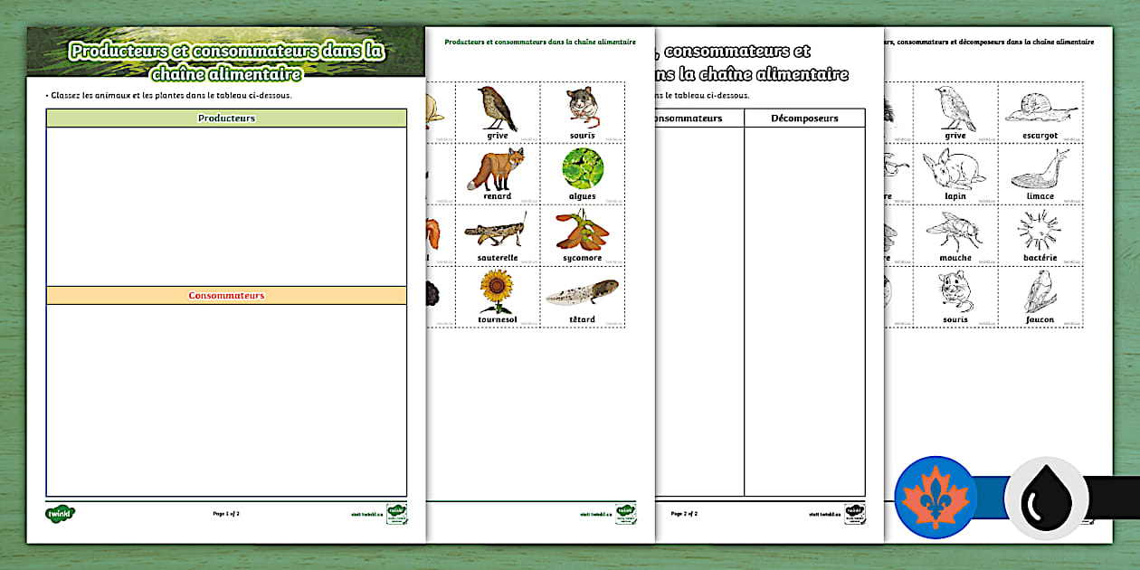 Food Chain, Producers, Consumers and Decomposers Worksheet French