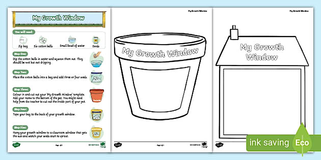 My Growth Window Plant Display (teacher made) - Twinkl