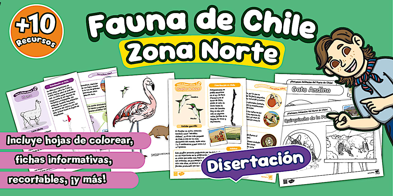 Disertación | Fauna de Chile | Zona Norte | Enseñanza Básica