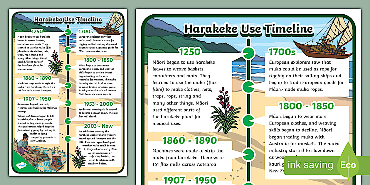 Harakeke Use Timeline | Harakeke Facts Timeine - Twinkl