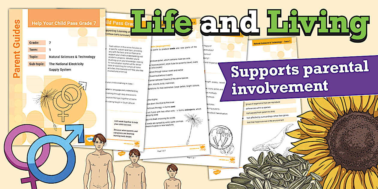 Help Your Child Pass Grade 7 Parent Guides – Life and Living Sexual