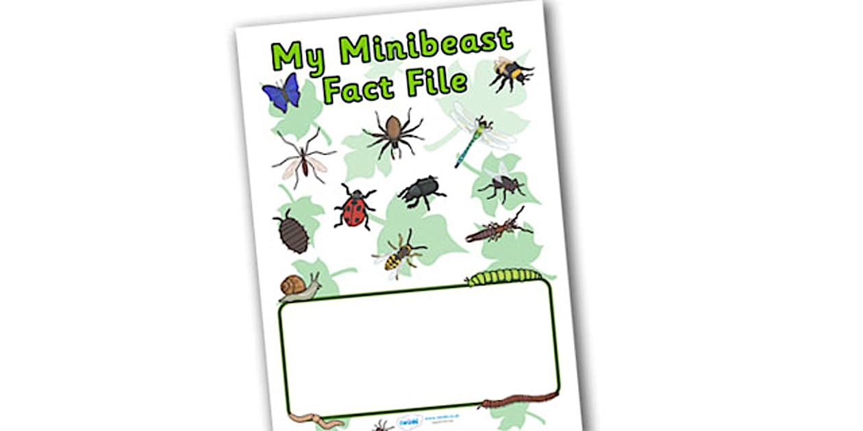 Editable My Minibeast Fact File Book Cover (teacher made)