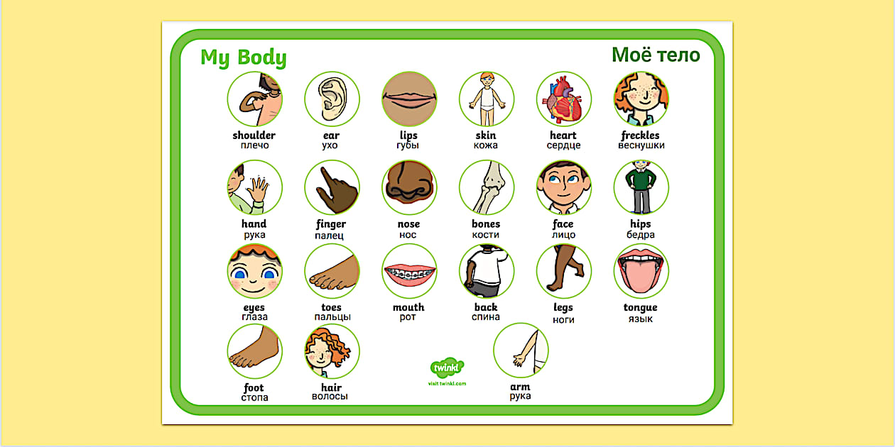 English/Russian 'My Body' Word Mat (teacher made) - Twinkl
