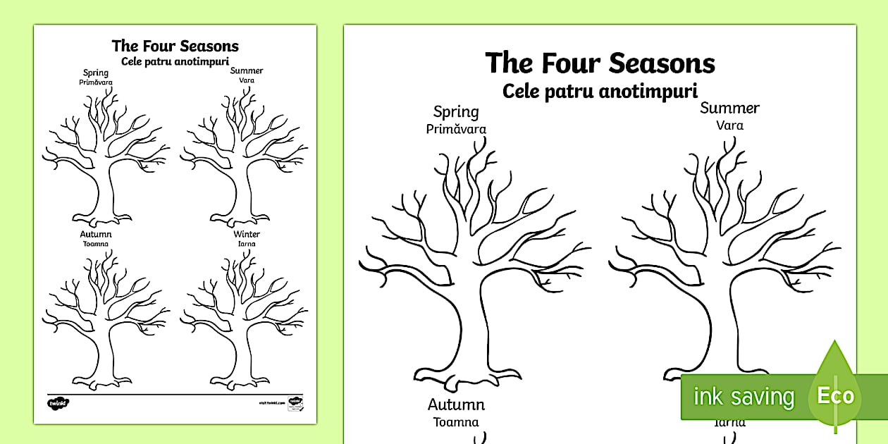 Four Seasons Tree Drawing Template English/Romanian - Four Seasons Tree