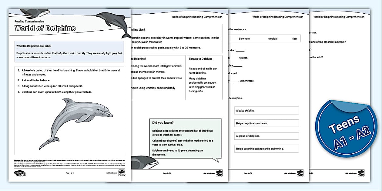 ESL Dolphins Infographics Reading Comprehension - Twinkl