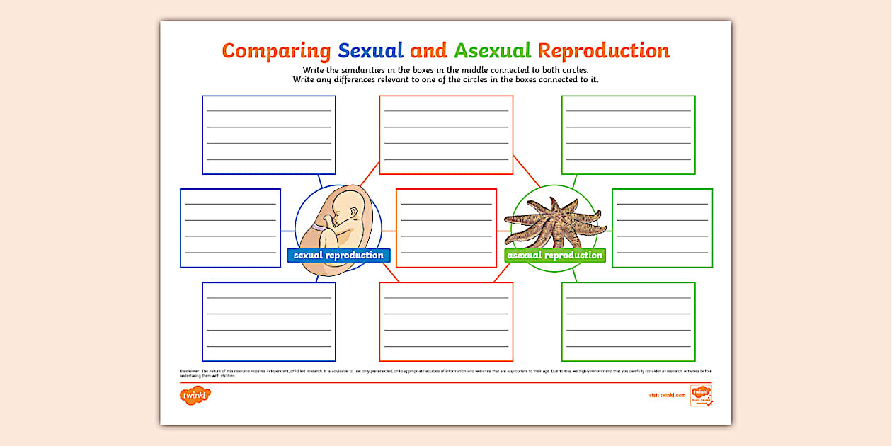 Comparing Sexual and Asexual Reproduction Mind Map - Twinkl