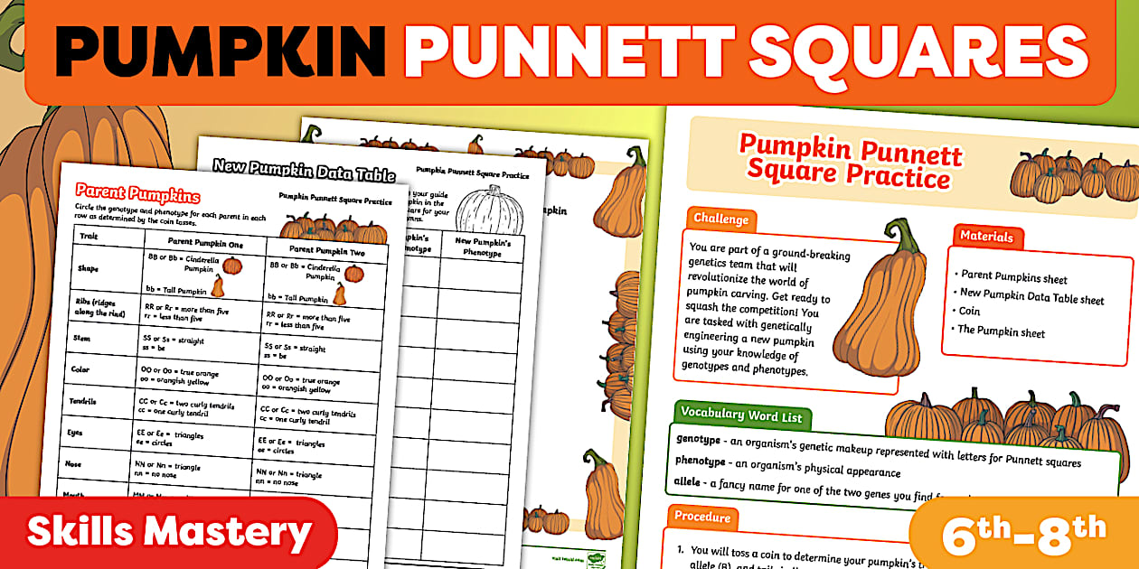 Pumpkin Punnett Square Practice & Craft for 6th-8th Grade