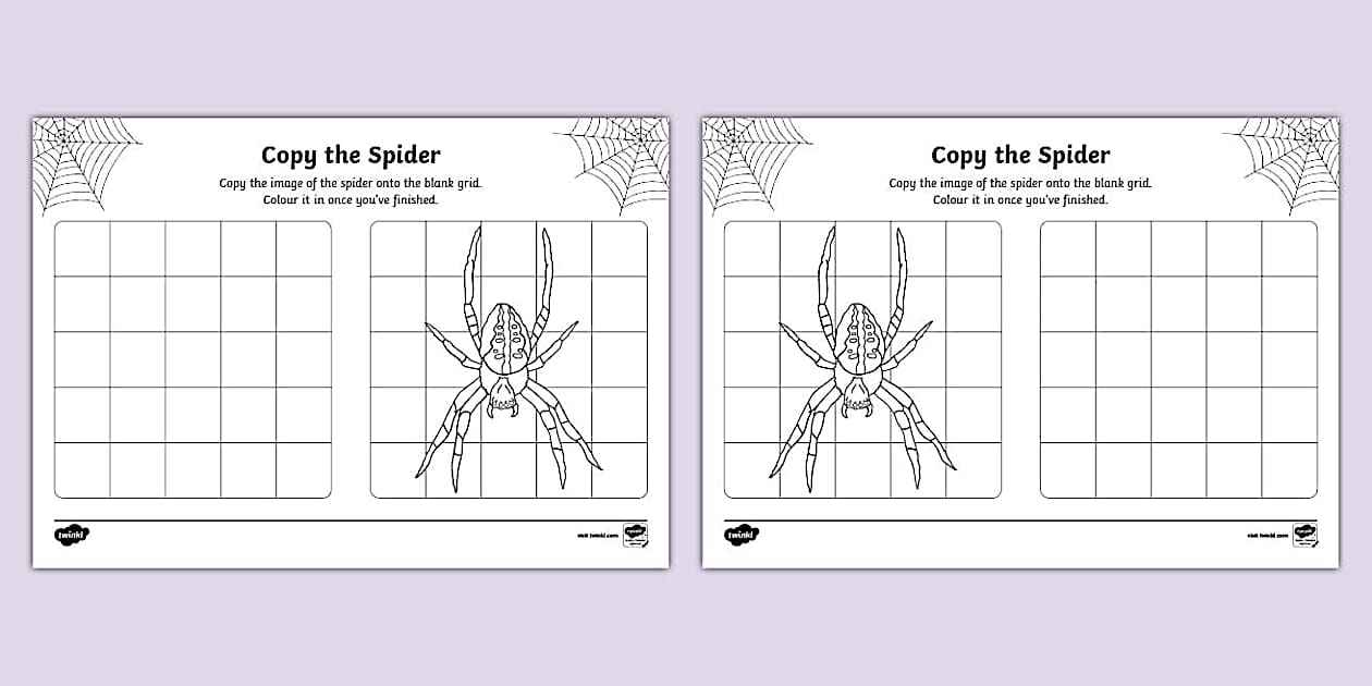 Copy the Spider Worksheet (teacher made) - Twinkl