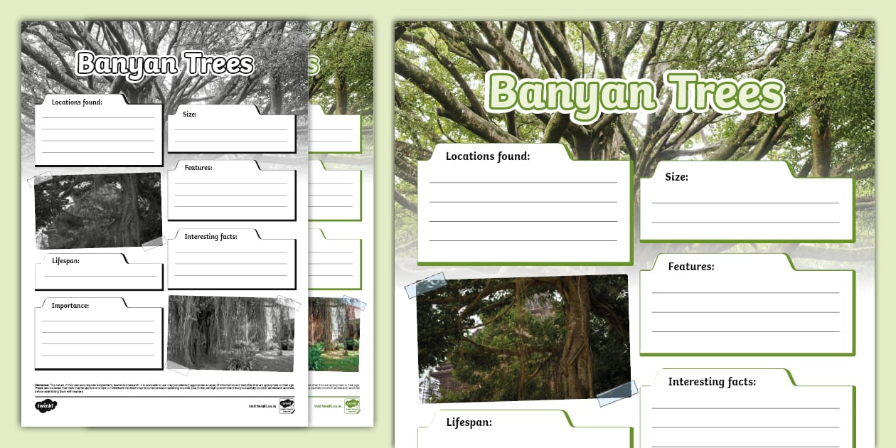 Banyan Tree Fact File Template (Teacher-Made) - Twinkl