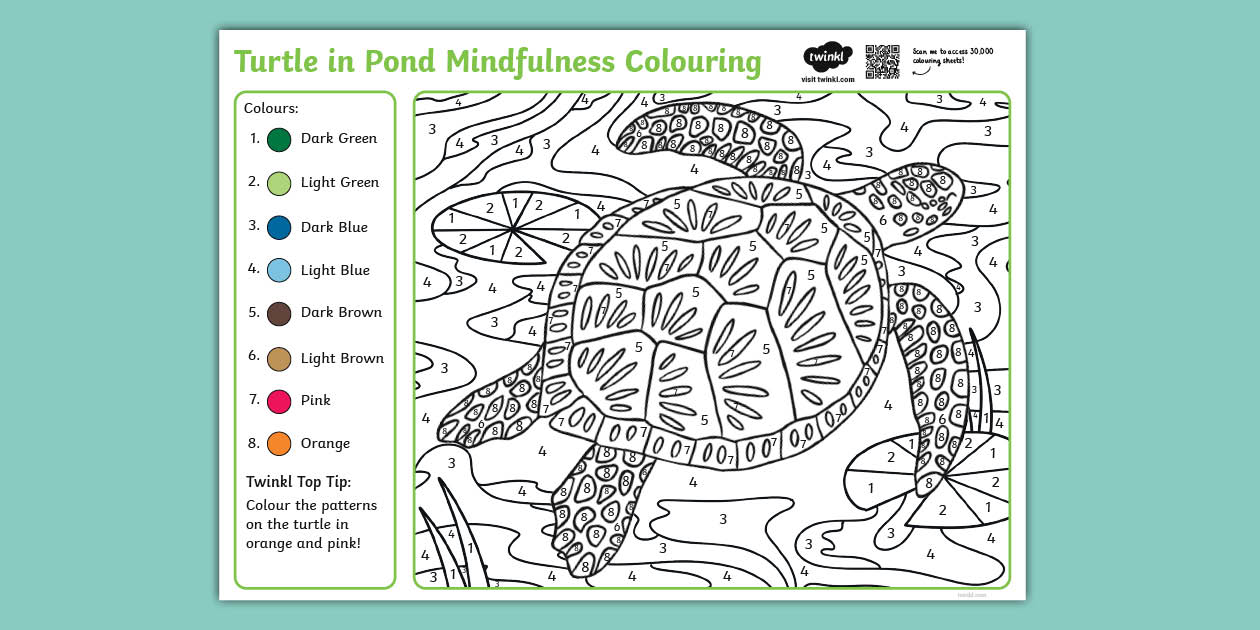 Turtle in Pond Mindfulness Colour-by-Number Page | Twinkl