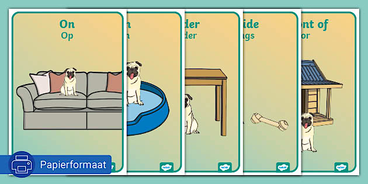 Prepositions English and Afrikaans Display Posters - Twinkl