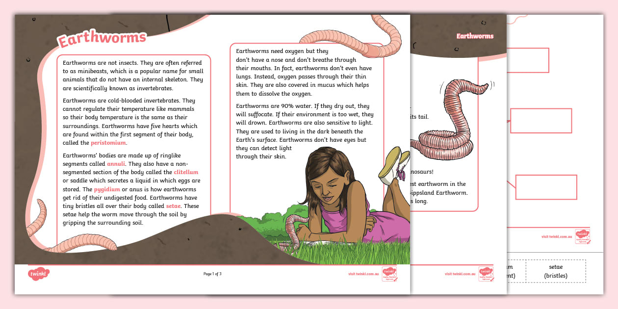 Earthworms Fact Sheet and Labelling Task (Teacher-Made)