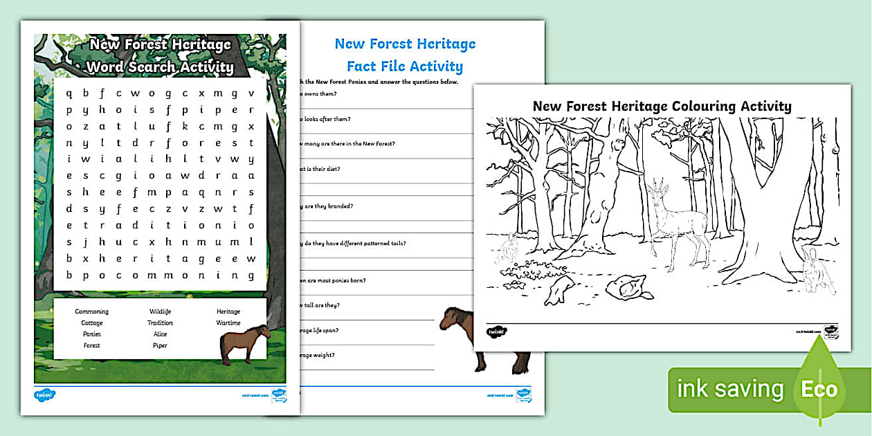 New Forest Heritage Activity Pack | Twinkl Resources