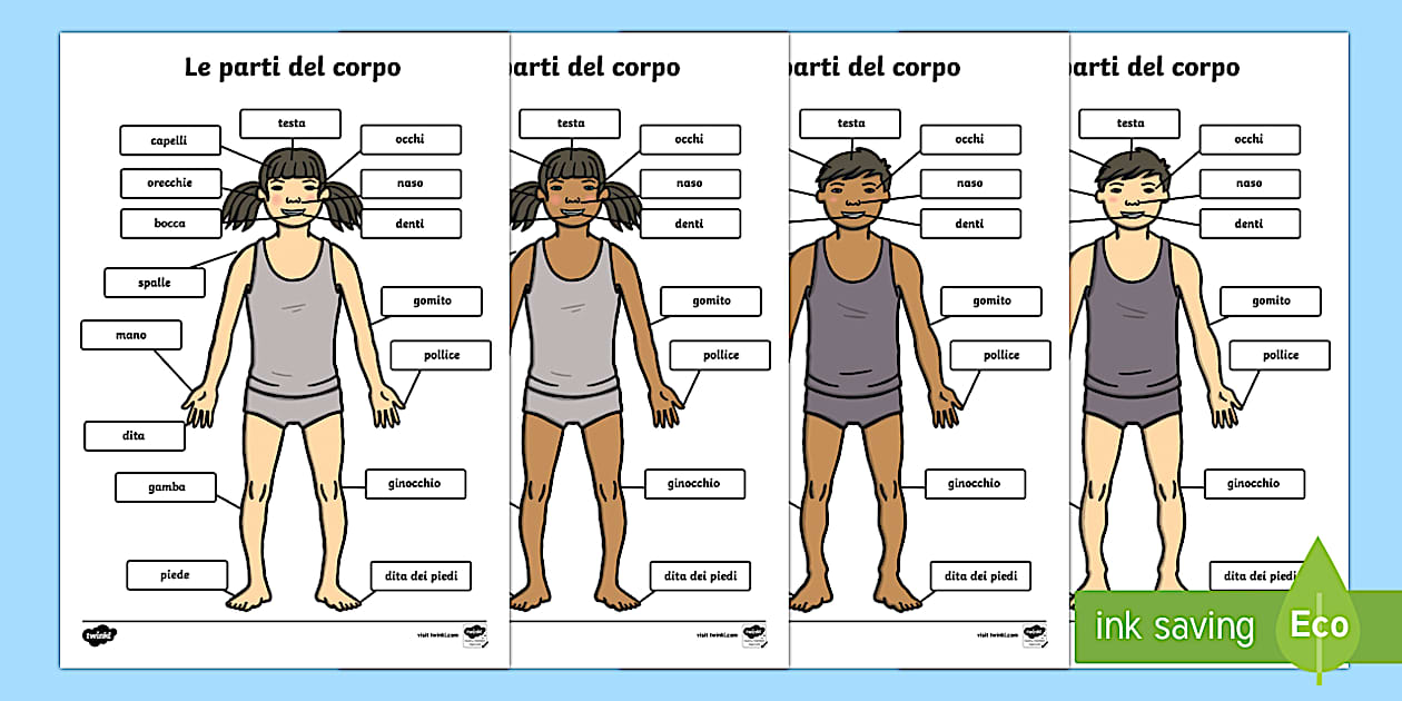 Le Parti del Corpo A4 Poster (Hecho por educadores) - Twinkl
