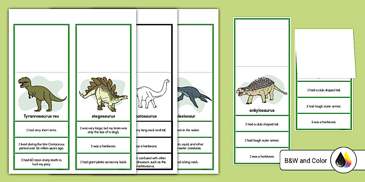 Fun Guess the Dinosaur Game for Kindergarten | Twinkl USA