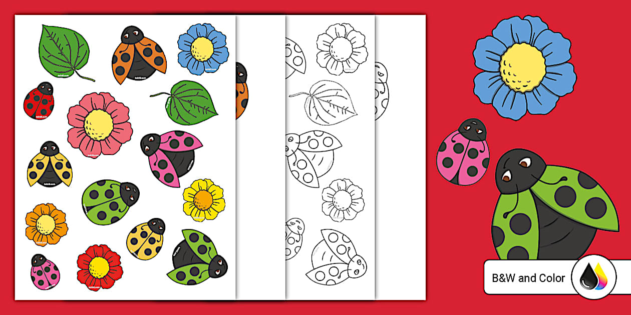 Ladybug Cutouts (Teacher-Made) - Twinkl