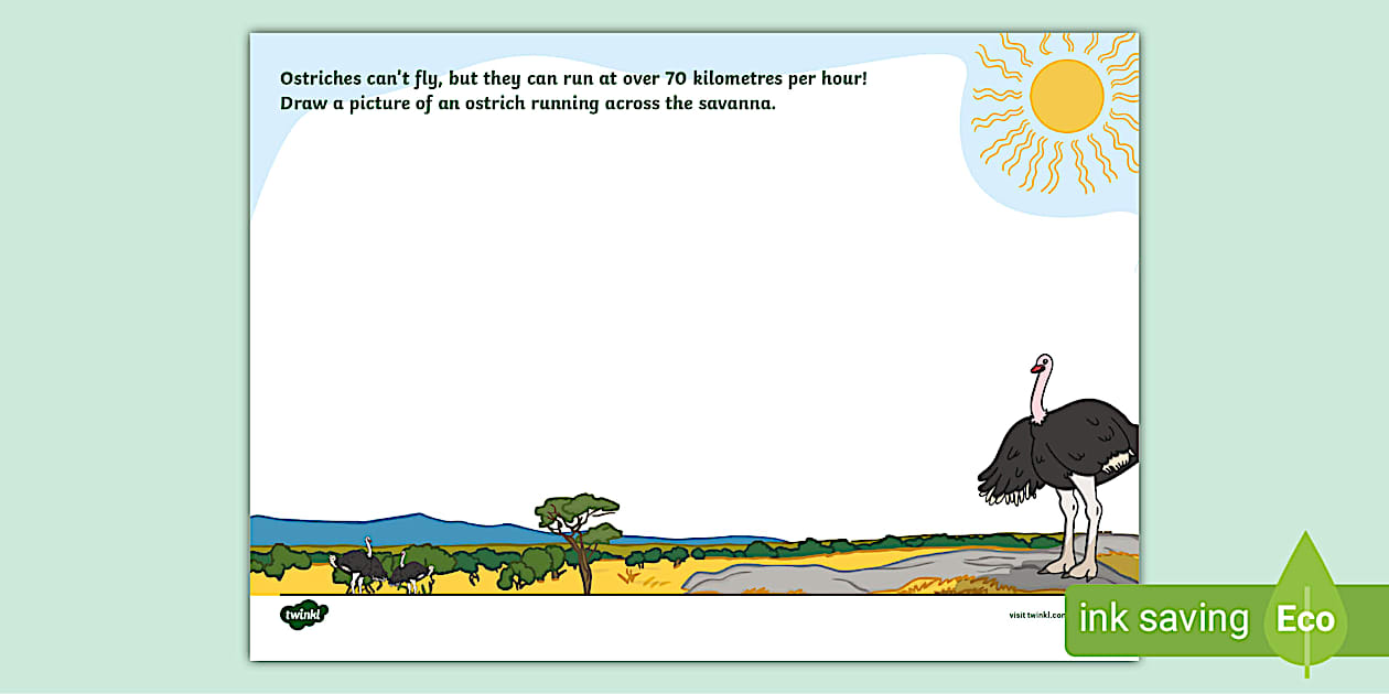 Ostrich Drawing Prompt (Teacher-Made) - Twinkl