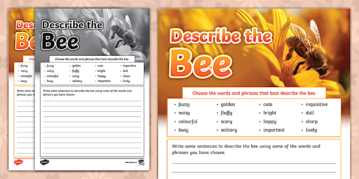 Describe the Bee Worksheet - Twinkl
