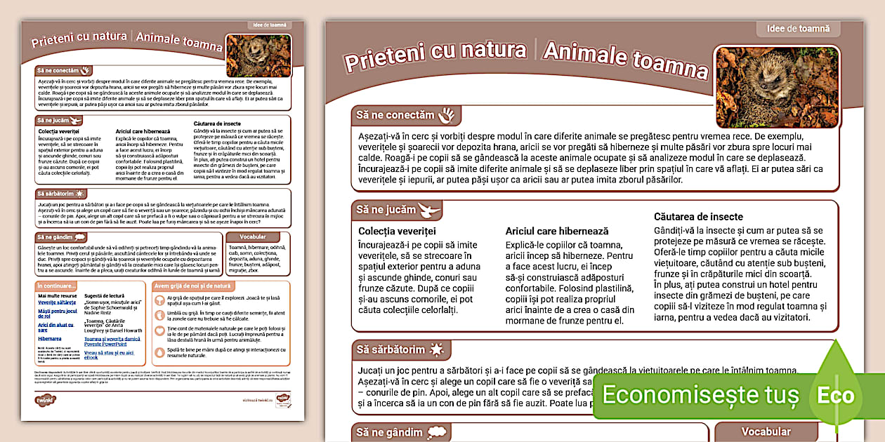 Prieteni cu natura: Animale toamna – Activități în aer liber