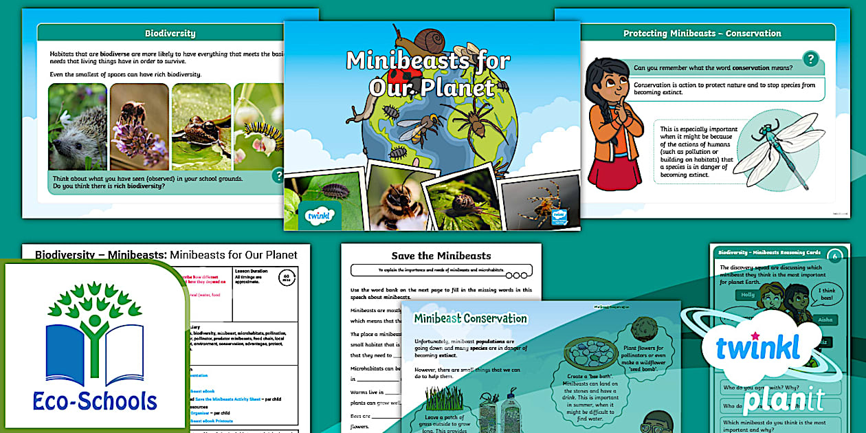 Science: Biodiversity - Minibeasts: Minibeasts for Our Planet Year 2 ...