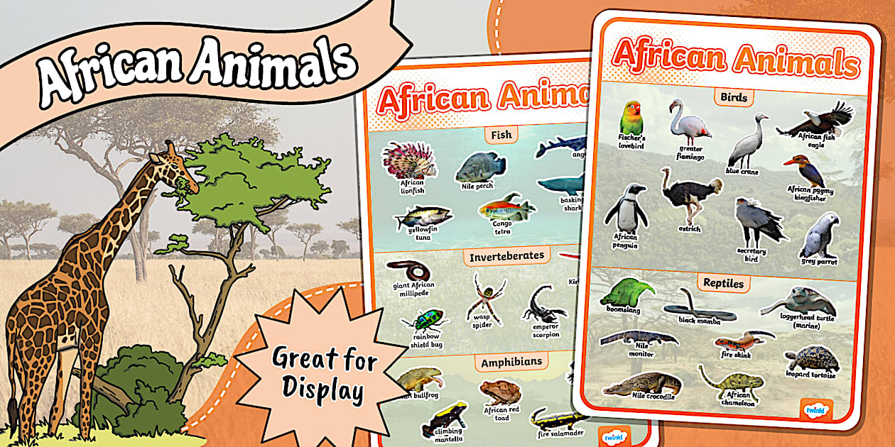 * NEW * African Animals Large Posters - KS1 - Twinkl
