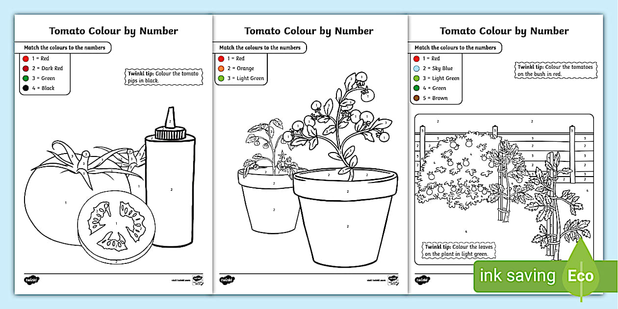 Tomato Colour-by-Number Pages | Twinkl | Colouring | KS1