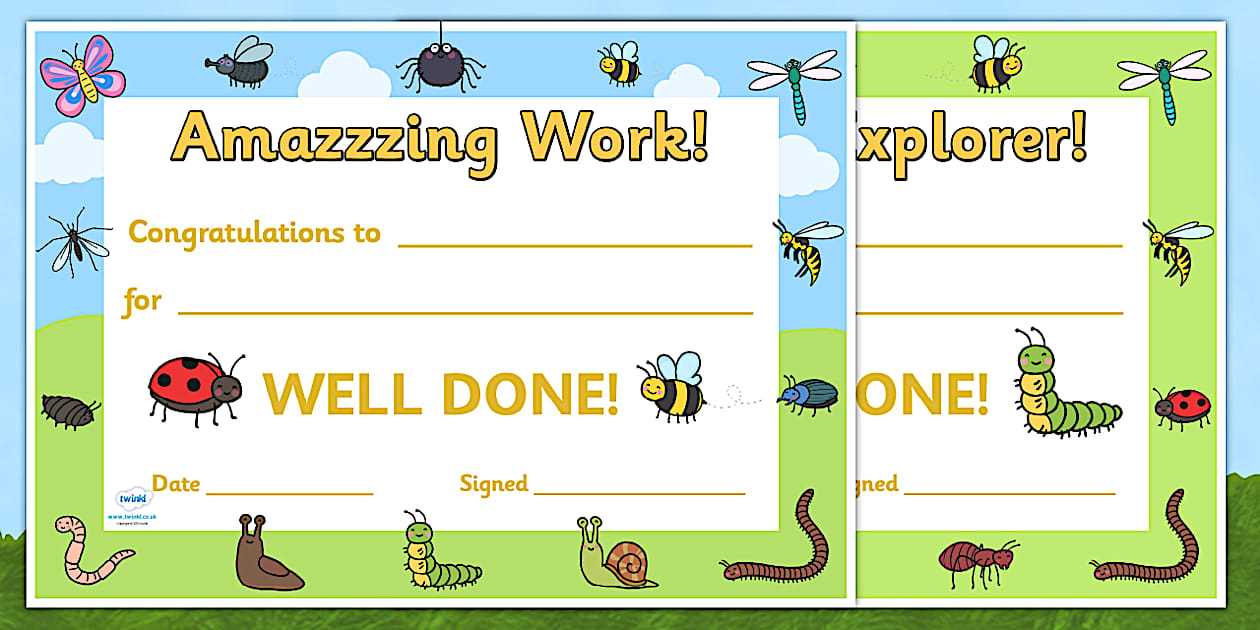 Editable Minibeasts Explorer Reward Certificates - Twinkl