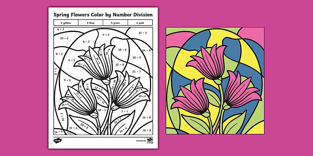 Flower Color by Number Division Activity | Twinkl USA