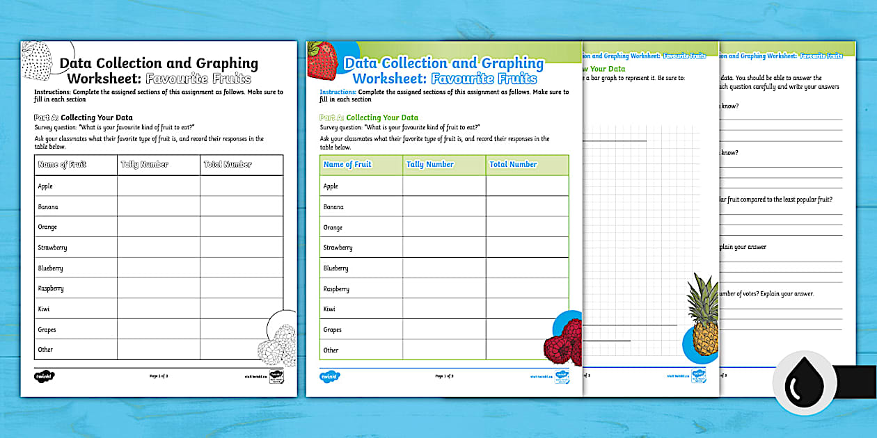 Data Collection and Graphing Activity Sheet (teacher made)