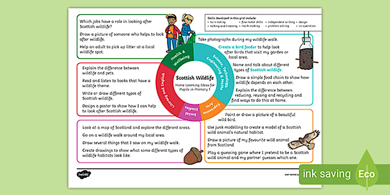 Scottish Wildlife P1 Mini Home Learning Topic (teacher made)
