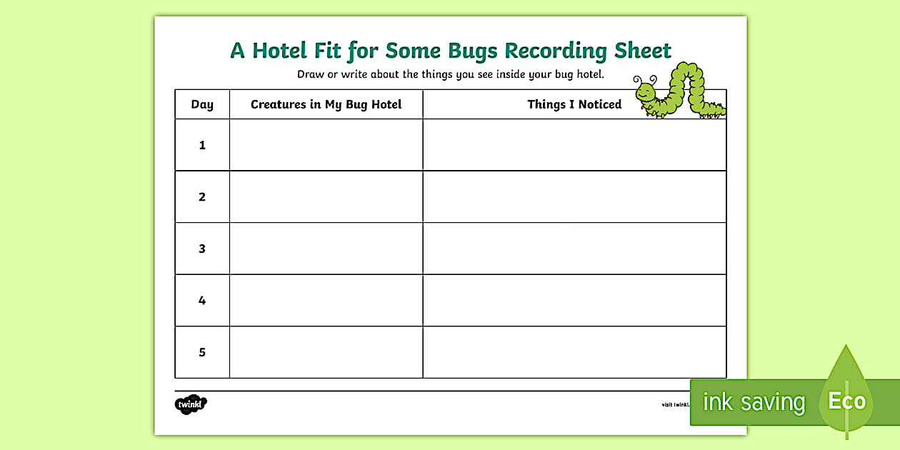 KS1 A Hotel Fit for Some Bugs Recording Worksheet - Twinkl