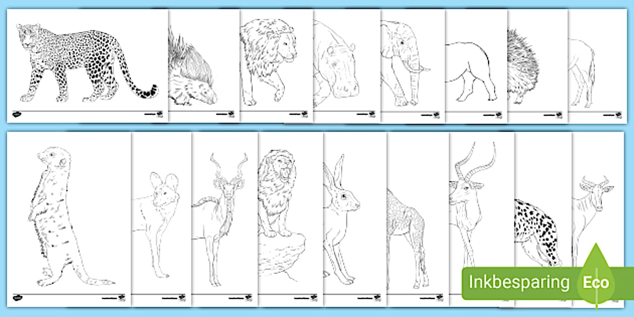 African Animal Colouring Sheets (Teacher-Made) - Twinkl