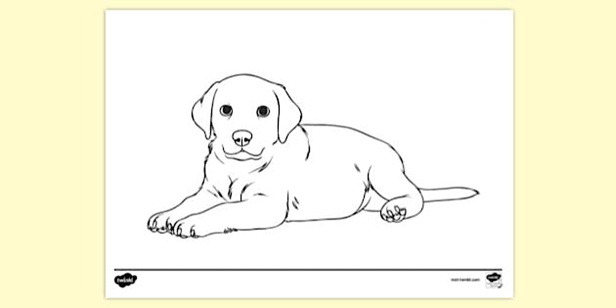 Dog Colouring Page to Print (Hecho por educadores) - Twinkl
