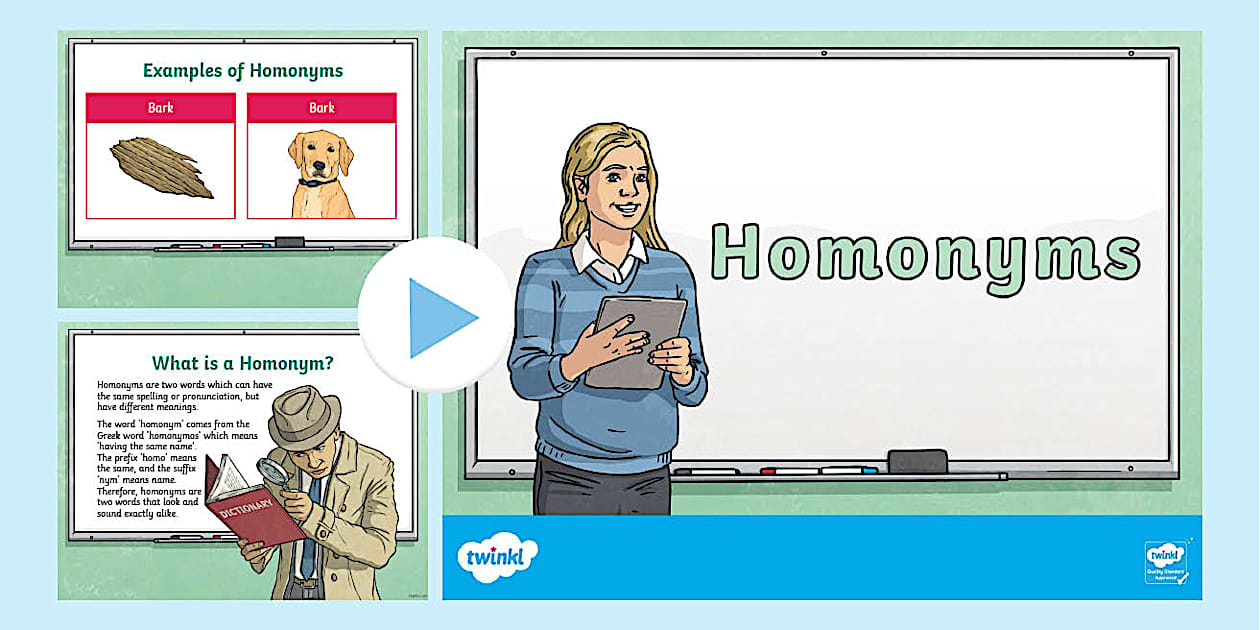 Homonyms (PowerPoint) (Teacher-Made) - Twinkl