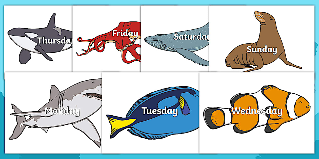 Days of the Week on Sea Creatures (Under the Sea) - Twinkl