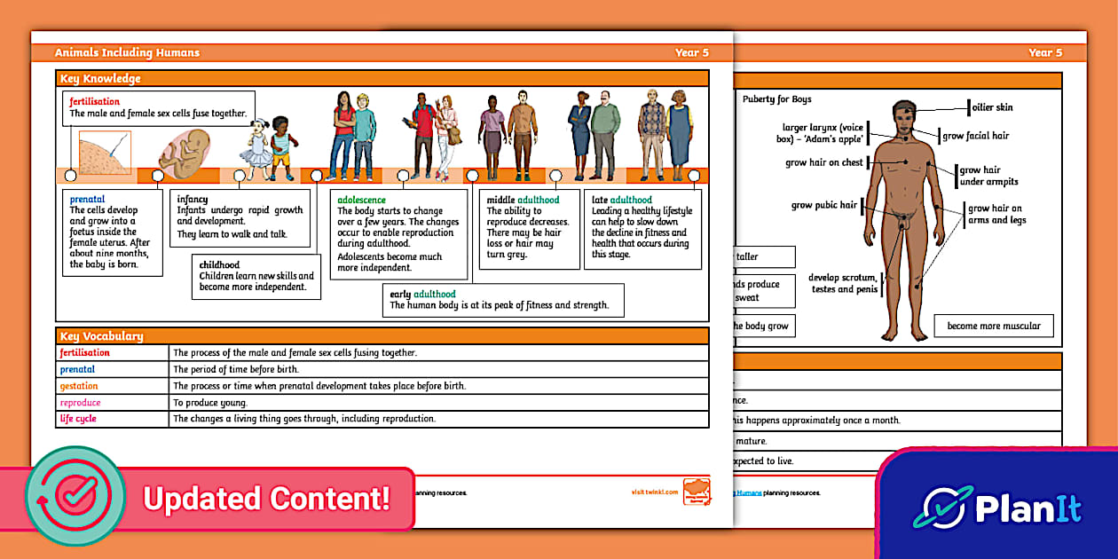 Editable Science Knowledge Organiser: Animals Including Humans Year 5