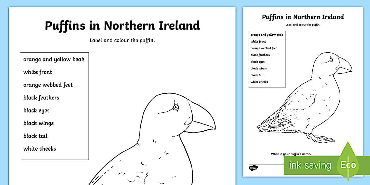Puffin Colouring Page (teacher made) - Twinkl