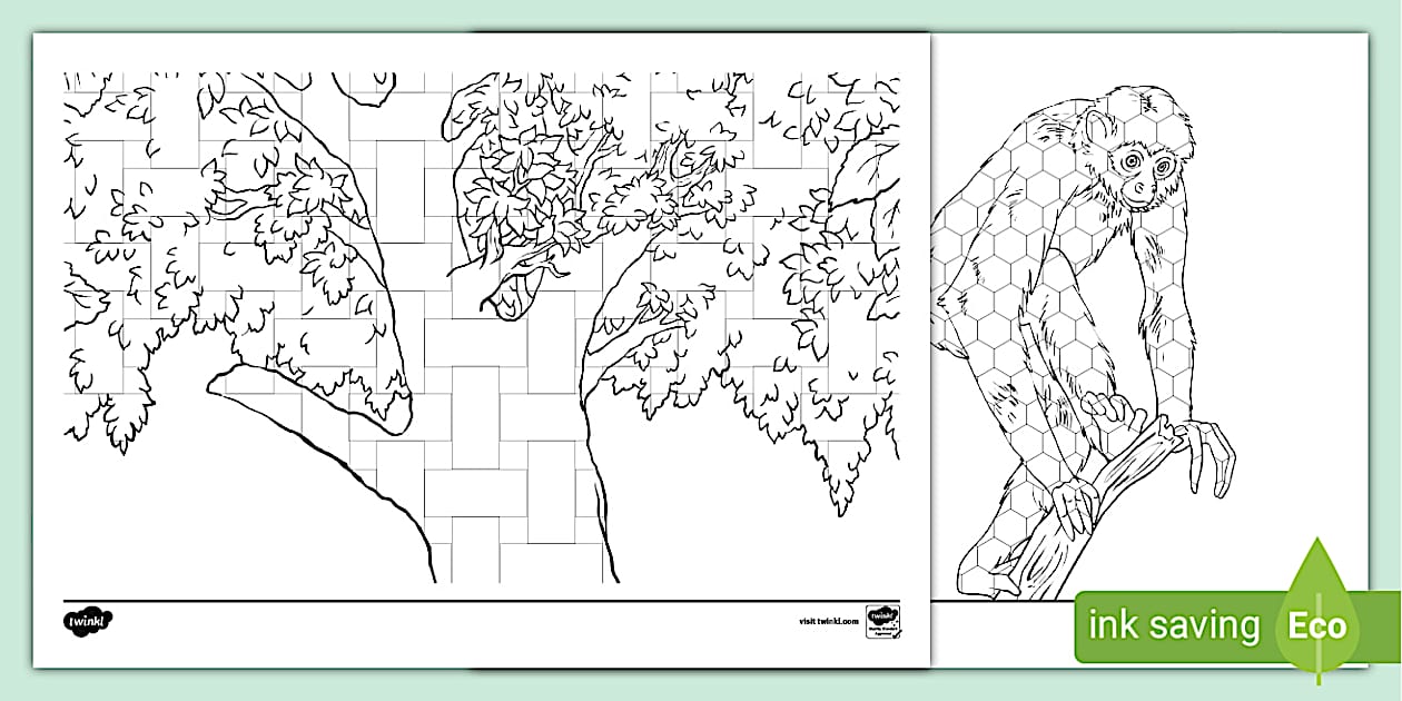 Rainforest Collage Art Activity (Teacher-Made) - Twinkl