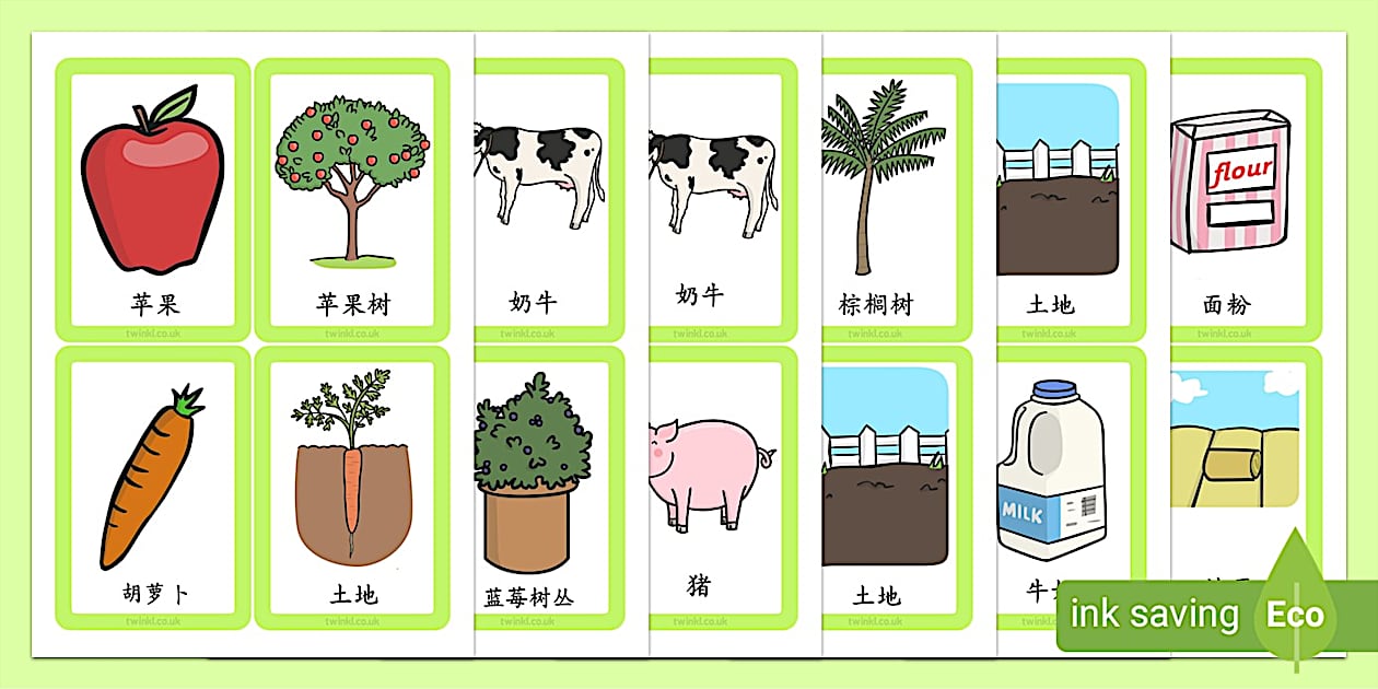 *Chinese version Food Origins Matching Cards* (teacher made)