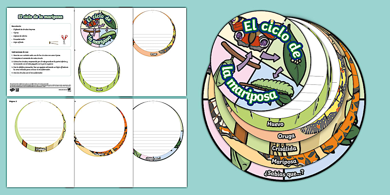 Flipbook: El ciclo de la mariposa (teacher made) - Twinkl