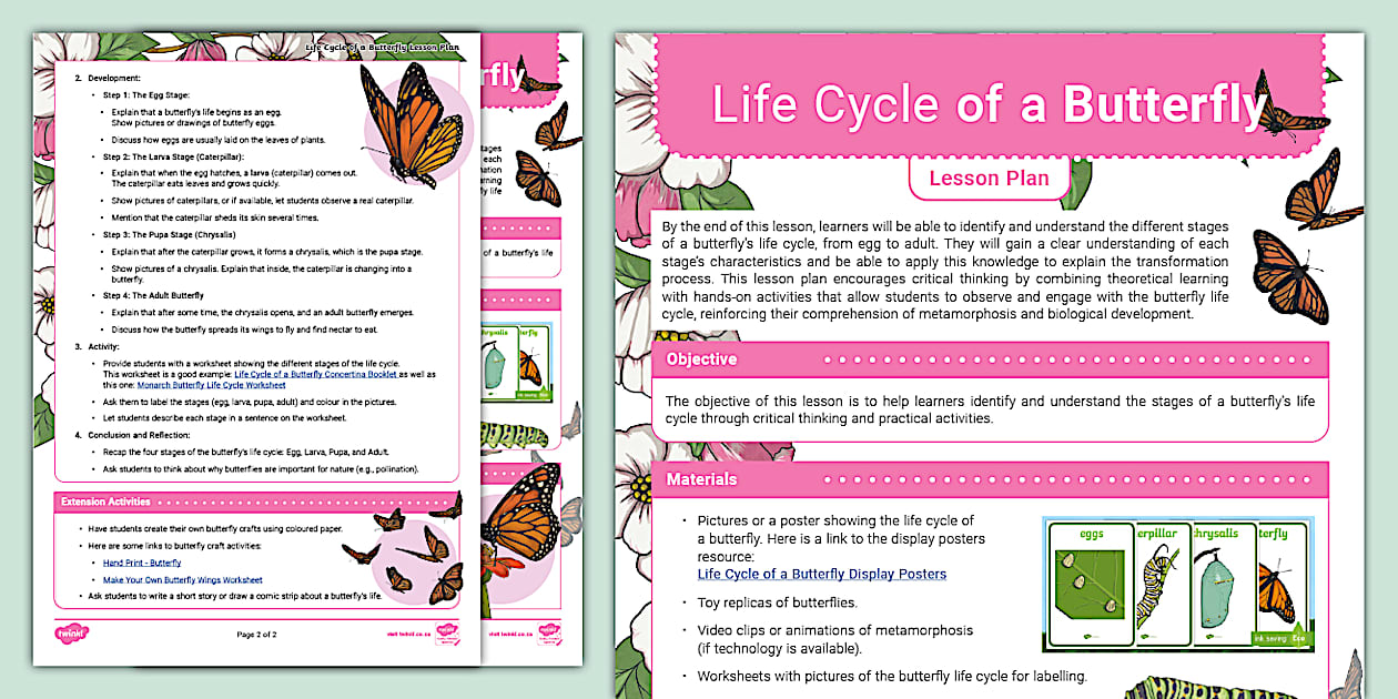 Life Cycle of a Butterfly Lesson Plan PDF | Twinkl ZA